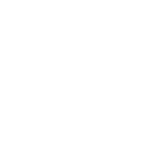 Company Mission, Vision and Core Values - Magna5