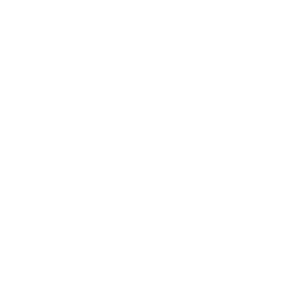 Company Mission, Vision and Core Values - Magna5